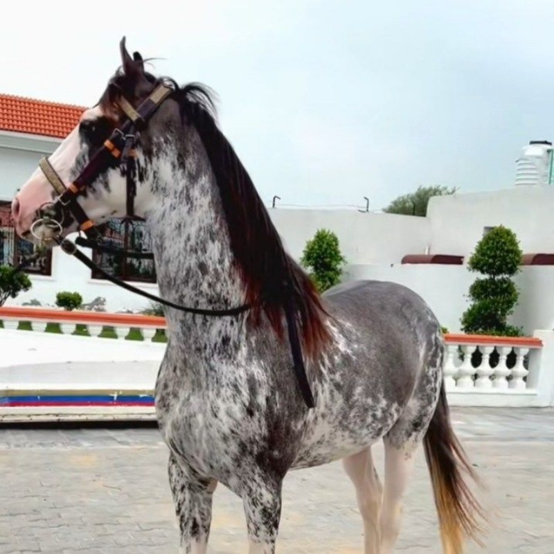 Jabran (@jabran20252192) | Snapchat Stories, Spotlight & Lenses