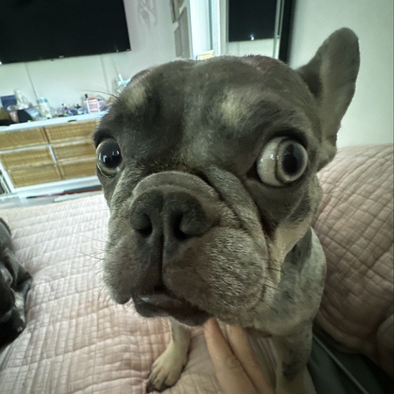 Jaelani Jade (@jaelanislife) | Snapchat Stories, Spotlight & Lenses