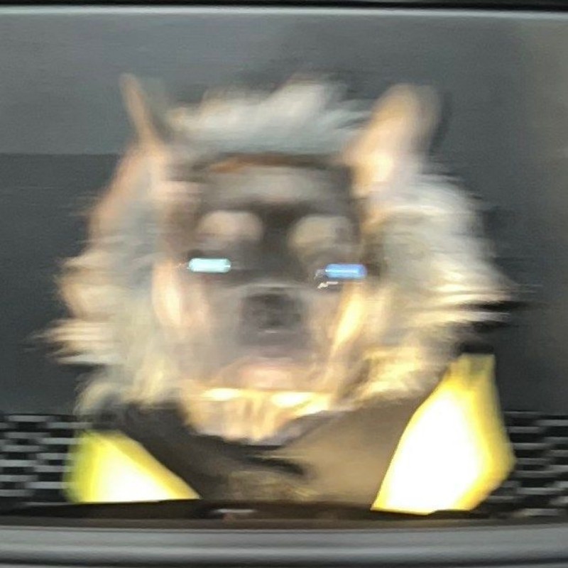 James (@james) | Snapchat Stories, Spotlight & Lenses