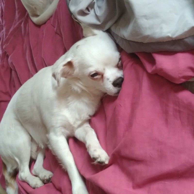 💜JELLY💜 (@jelly_shots02) | Snapchat Stories, Spotlight & Lenses