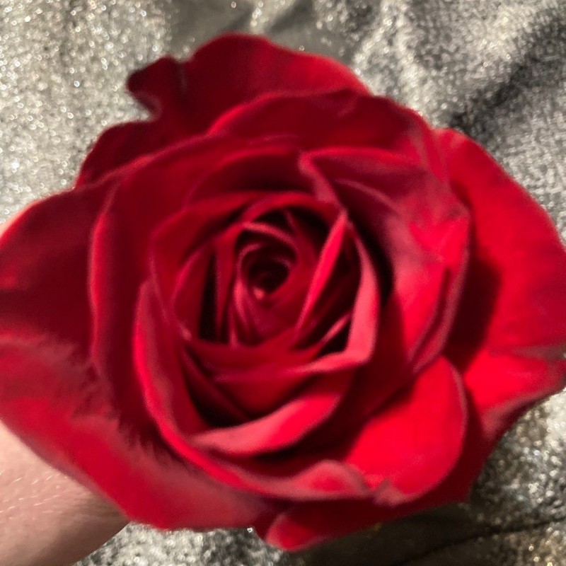 Jill Connor (@jill_connor22) | Snapchat Stories, Spotlight & Lenses