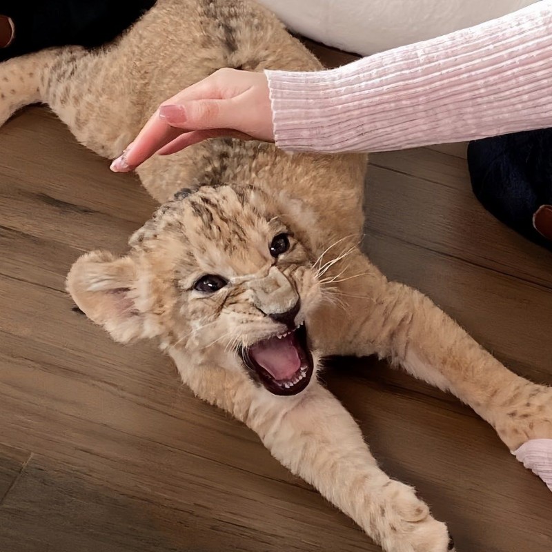 Winniry (@jing20257978) | Snapchat Stories, Spotlight & Lenses