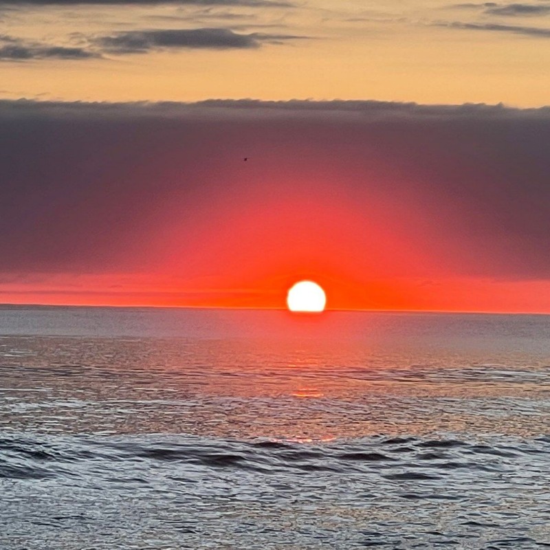 Nemo 🖤 (JitterBob) (@jitterbob) | Snapchat Stories, Spotlight & Lenses