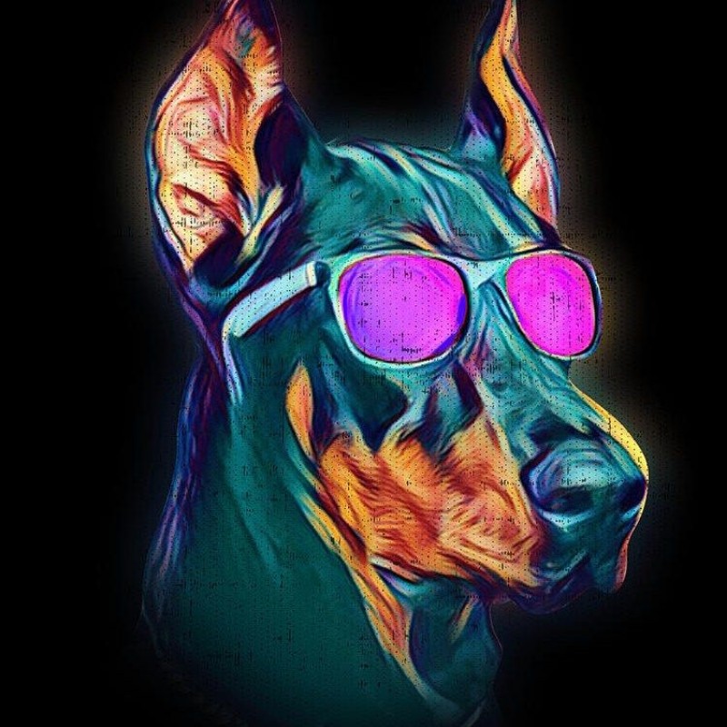 JOEDOG😎 🇯🇲🇺🇸🇹🇹🔥 (@josephjodog) | Snapchat Stories, Spotlight & Lenses