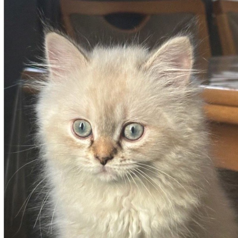 Joudi 🐼 (@joudi2001) | Snapchat Stories, Spotlight & Lenses