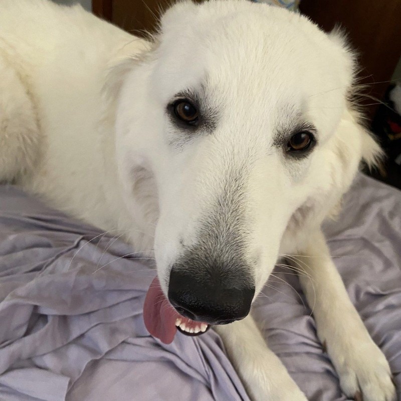 Julia Shea🎄 (@julia_s20236393) | Snapchat Stories, Spotlight & Lenses