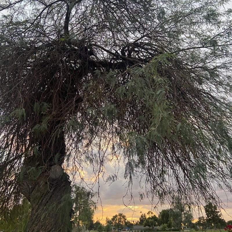 Julissa 🍒 (@julissa.c46) | Snapchat Stories, Spotlight & Lenses