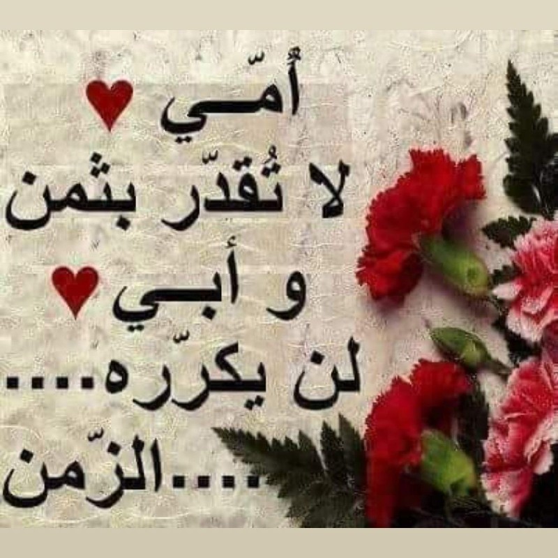 خديجة🇸🇴💙 (@jwjw_wys2019) | Snapchat Stories, Spotlight & Lenses