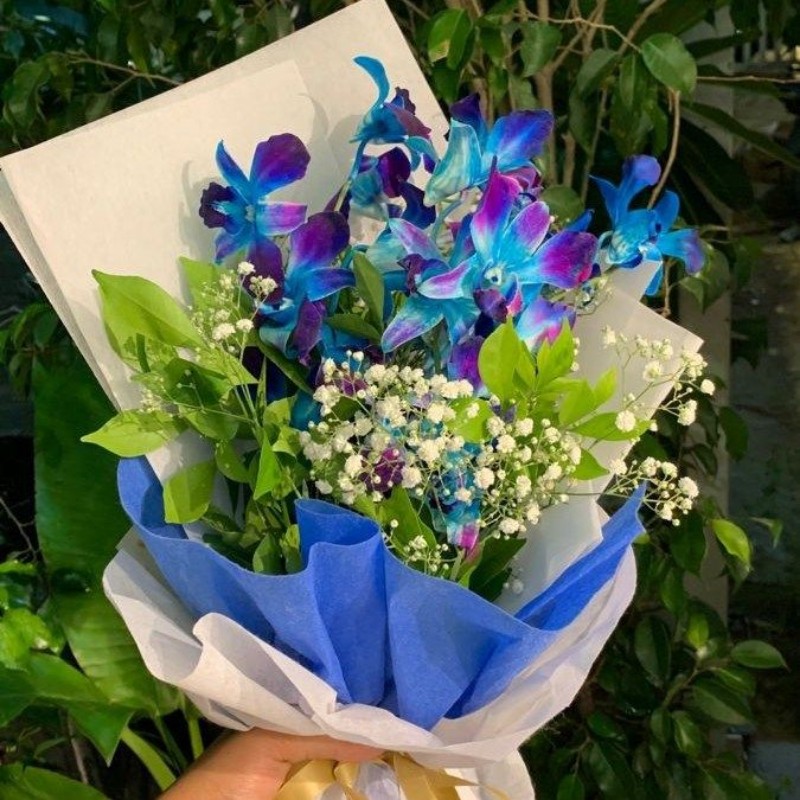 Khan Zoya (@k_zoya162) | Snapchat Stories, Spotlight & Lenses