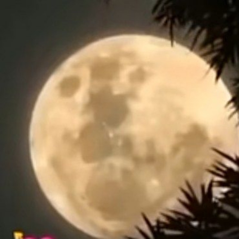 Aashi (@kaashi_45) | Snapchat Stories, Spotlight & Lenses