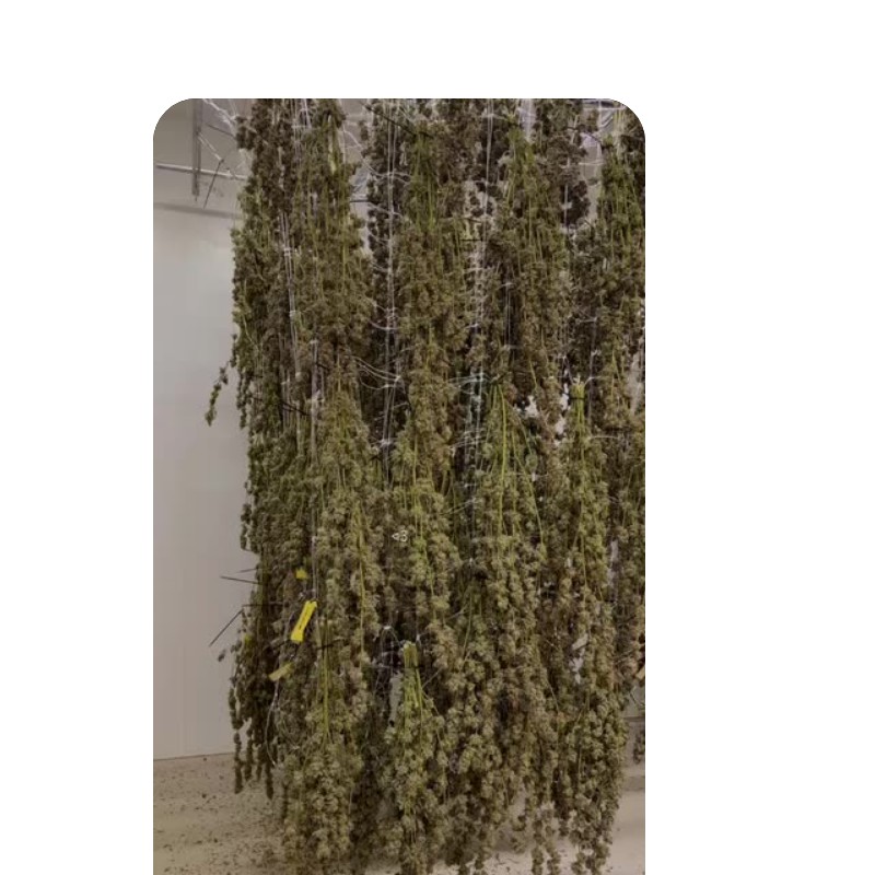 Kaitlyn (@kaitlyn.nm) | Snapchat Stories, Spotlight & Lenses