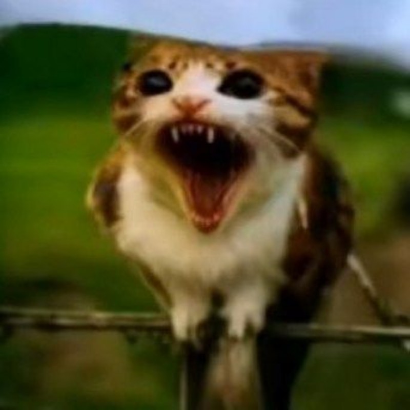 Miss Duck (@kaptmckenzie43) | Snapchat Stories, Spotlight & Lenses