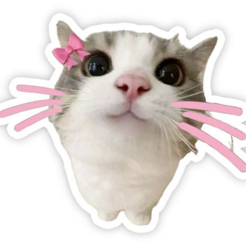 Karo (@kar0202) | Snapchat Stories, Spotlight & Lenses