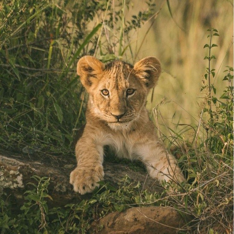 Kar_uww (@kar_wrest) | Snapchat Stories, Spotlight & Lenses