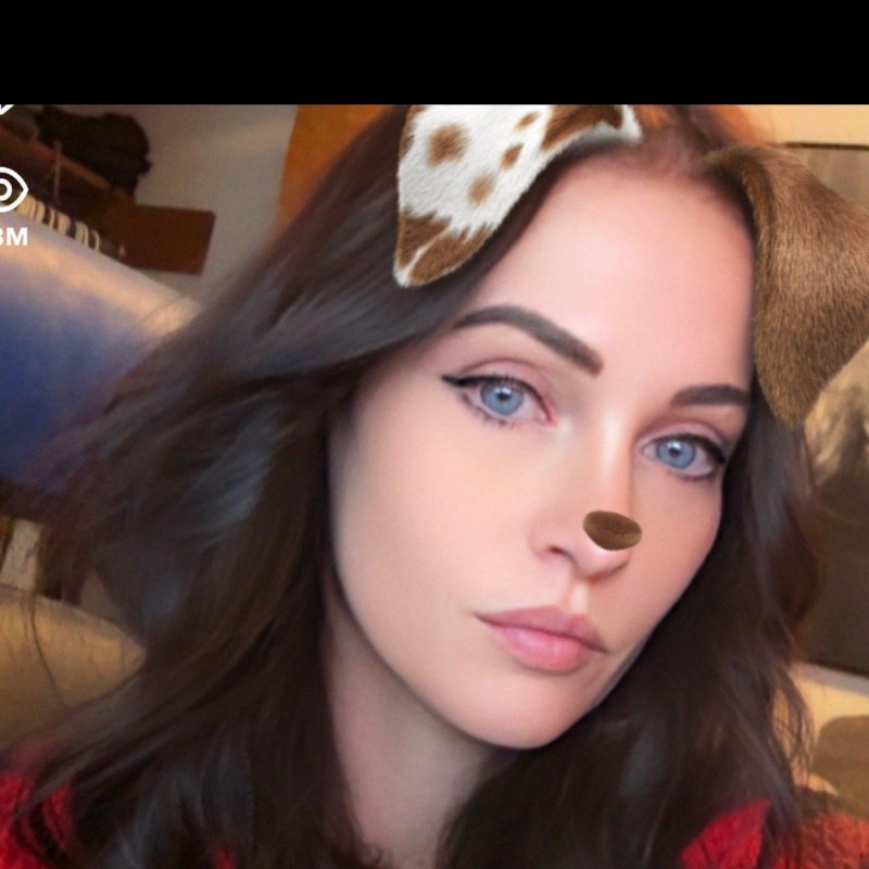 Karas Chicken Coop（@karaschickens） | Snapchatストーリー、スポットライト、レンズ