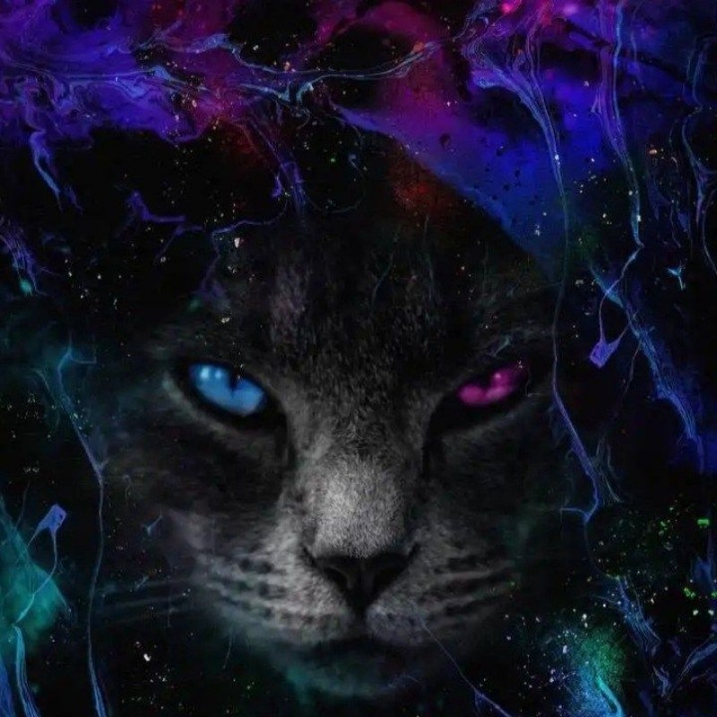 Karwan Doski (@karo_doski99) | Snapchat Stories, Spotlight & Lenses