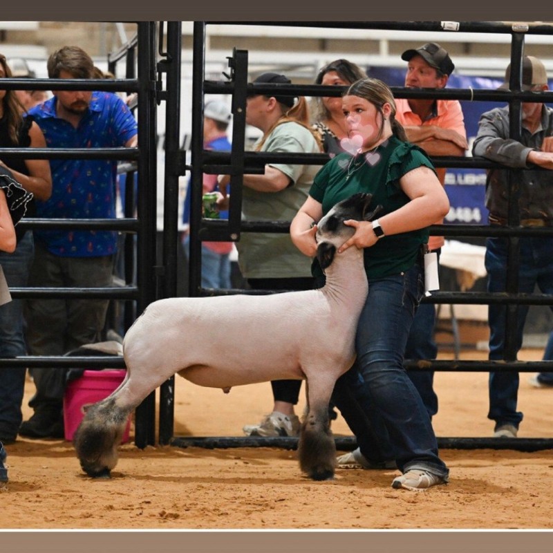 katie ️🐑 (@katie20243350) | Snapchat Stories, Spotlight & Lenses