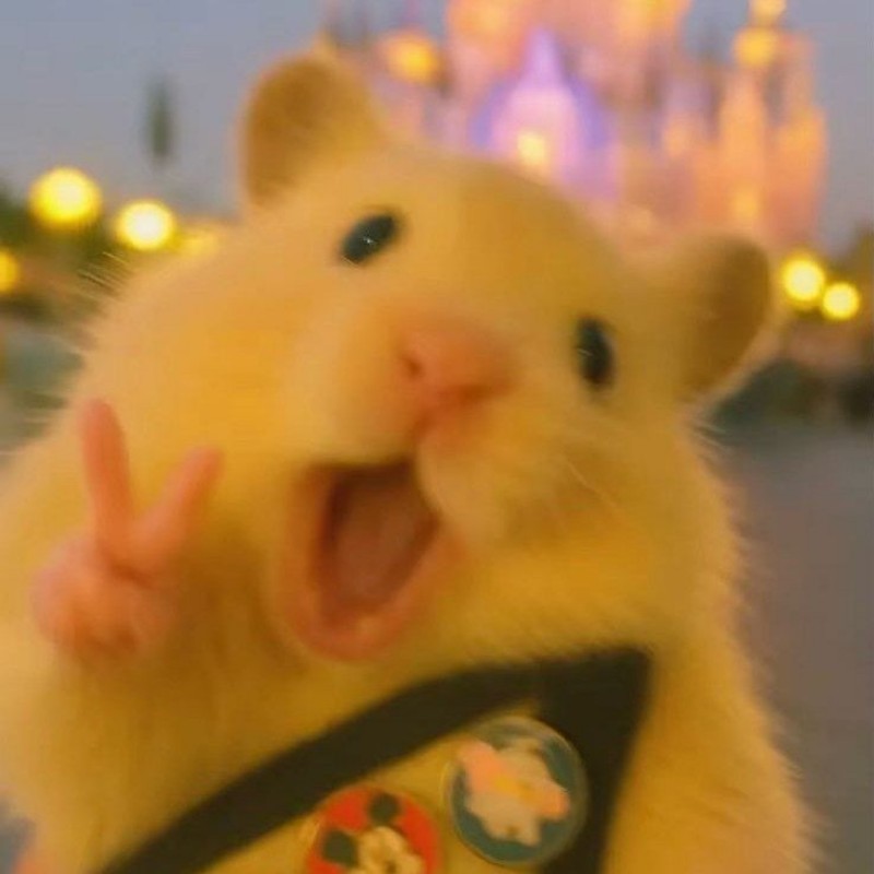 𝑲𝒂𝒕𝒍𝒆~𝒆𝒅𝒊𝒕𝒙 •☆ (@katle_editx) | Snapchat Stories, Spotlight & Lenses