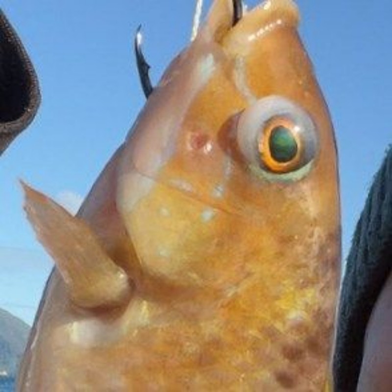 Kayla 𓀐𓂸 (@kayla_a12346) | Snapchat Stories, Spotlight & Lenses