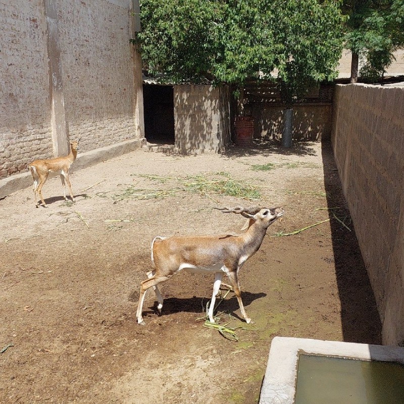 𝖐𝖍𝖆𝖒𝖔𝖘𝖍 (@khamosh457) | Snapchat Stories, Spotlight & Lenses