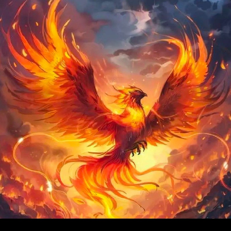 Kick Masters (@kickmasters) | Snapchat Stories, Spotlight & Lenses