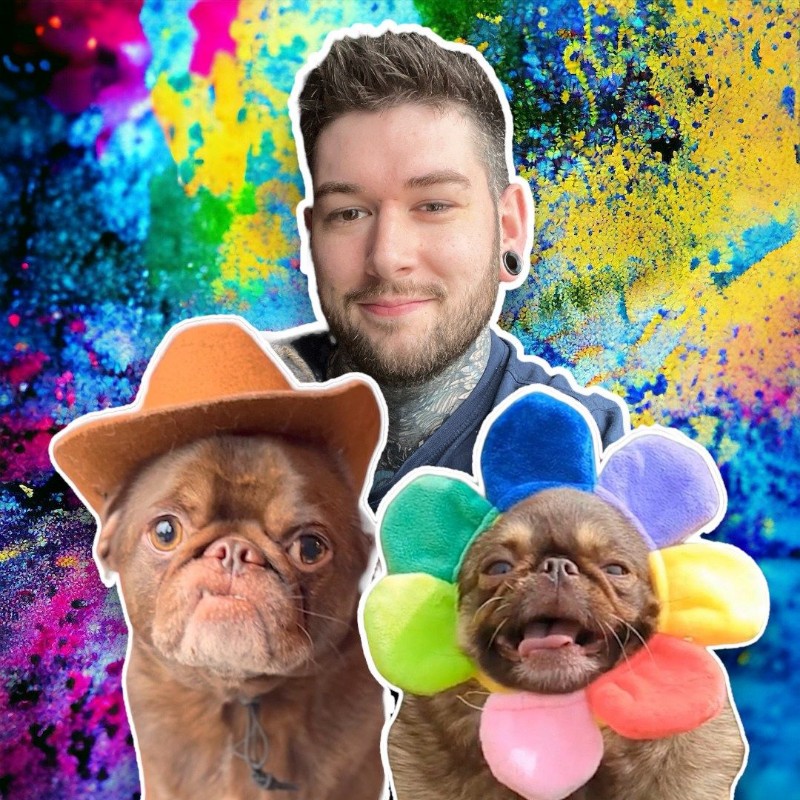 KingChilliThePug (@kingchillipug) | Snapchat Stories, Spotlight & Lenses