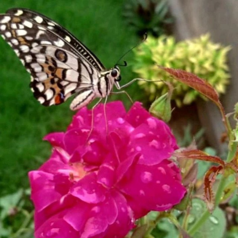 Kiran😇🙂 (@kiran_jeiya2021) | Snapchat Stories, Spotlight & Lenses