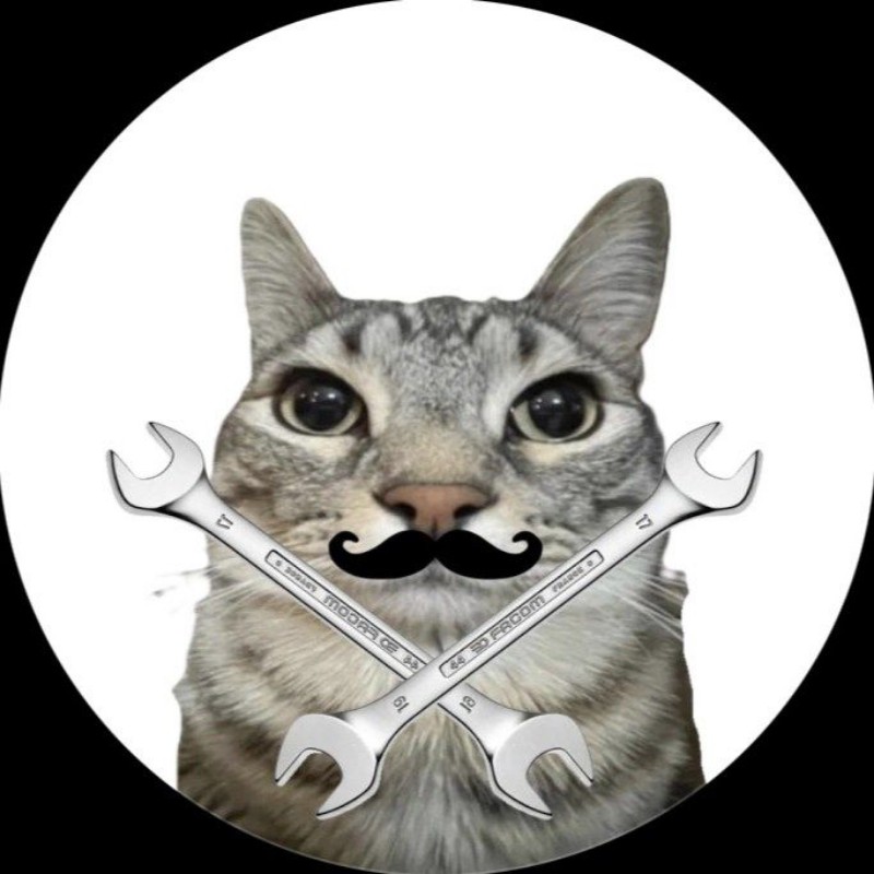 Kitty Mechanics (@kittymechanics) | Snapchat Stories, Spotlight & Lenses