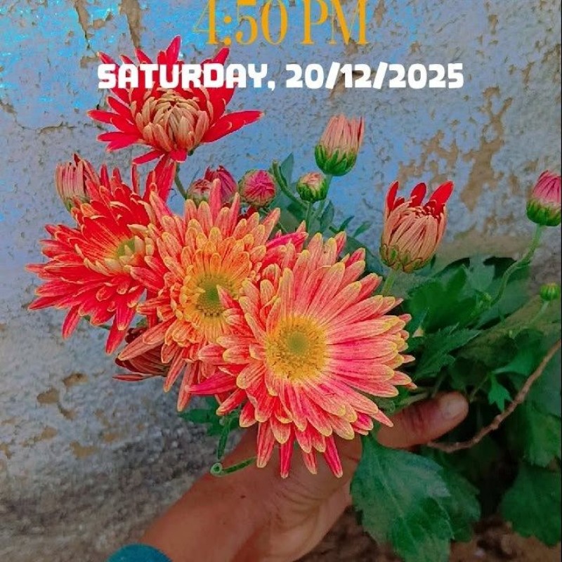 Kriti Dandotiya (@kritidandotiy) | Snapchat Stories, Spotlight & Lenses