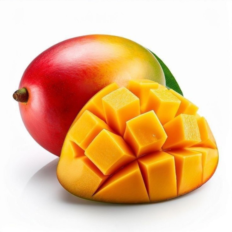 KudosMango (@kudosmango) | Snapchat Stories, Spotlight & Lenses