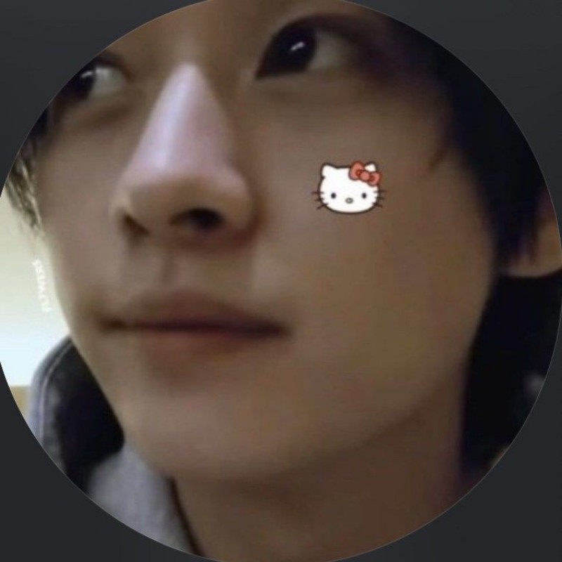 🎧크쉬🌷#SkzCore🐥🇦🇺 (@kushi6543210) | Snapchat Stories, Spotlight & Lenses