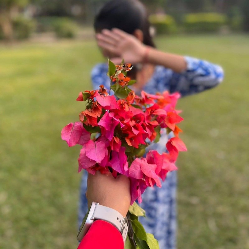 Love Status（@l_status2025） | Snapchatストーリー、スポットライト、レンズ