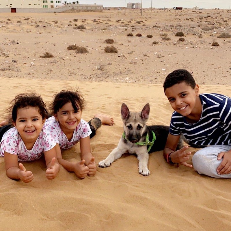 Lamina Bachar-haidar (@la-haidar) | Snapchat Stories, Spotlight & Lenses