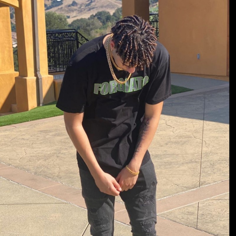 LaMelo Ball🏀 (@lameloballfr) | Snapchat Stories, Spotlight & Lenses