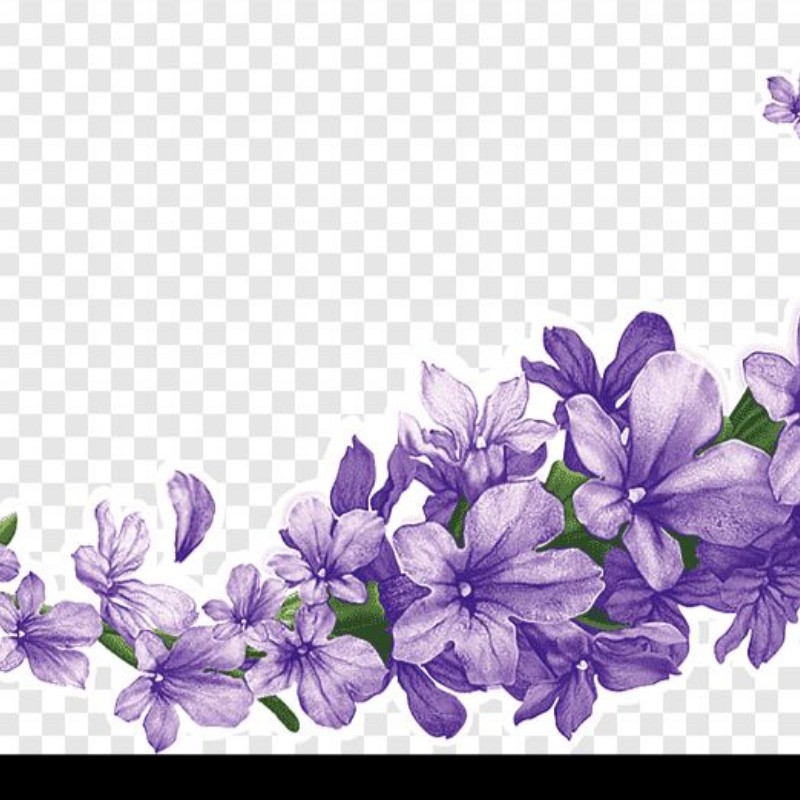 lavender_box🪻 توزيعات (@lavenderbox) | Snapchat Stories, Spotlight & Lenses