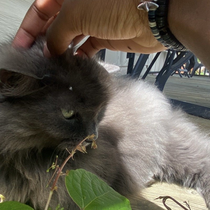 Layanna_Banana (@layanna_banana) | Snapchat Stories, Spotlight & Lenses