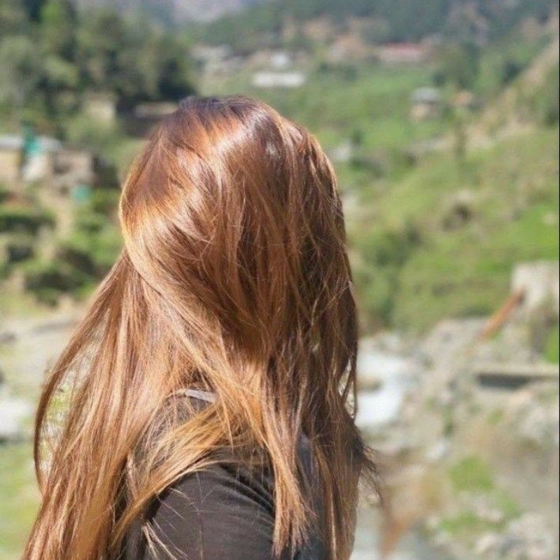 LazY BiRD👻 (@lazy_bird381) | Snapchat Stories, Spotlight & Lenses