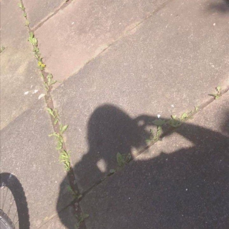 Asmaa Saad 🇬🇧. (@lbm3a) | Snapchat Stories, Spotlight & Lenses