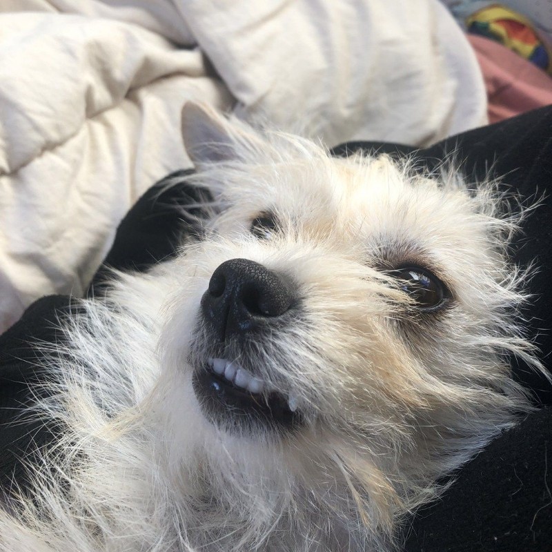 𝖑𝖊𝖆𝖍 ⛧ (@leah_h227204) | Snapchat Stories, Spotlight & Lenses