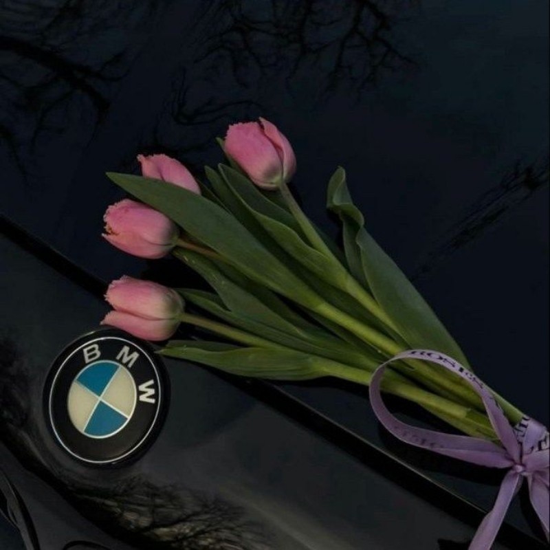 leaomer🖤 (@lia_omer2025) | Snapchat Stories, Spotlight & Lenses