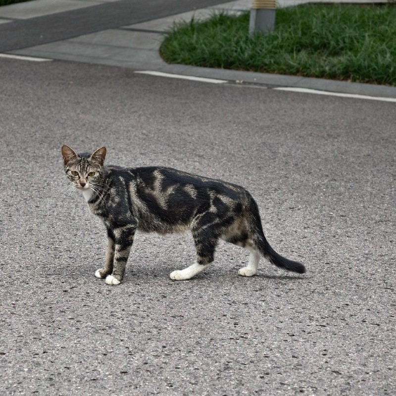 Lifestylepicks (@lifestylepick25) | Snapchat Stories, Spotlight & Lenses