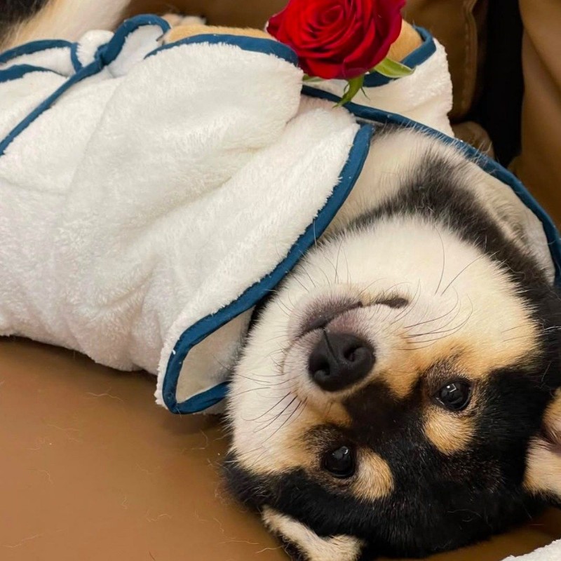 Little Manyu (@littlemanyyu) | Snapchat Stories, Spotlight & Lenses