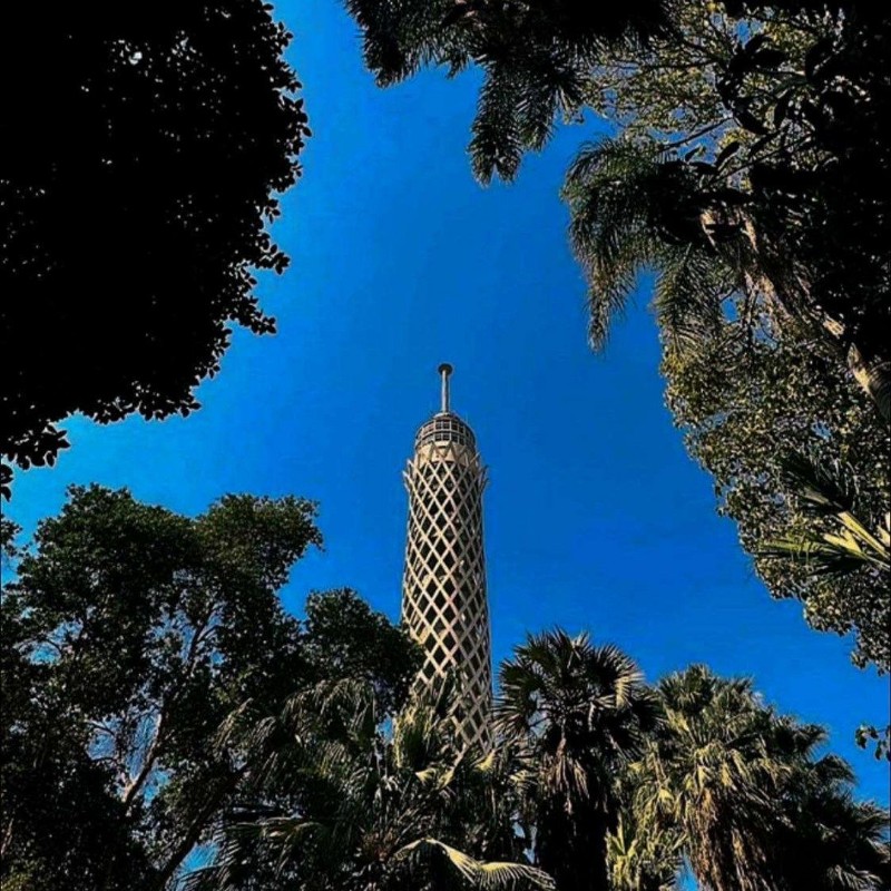 لايف القاهره🇪🇬🇸🇦 (@livecairo8) | Snapchat Stories, Spotlight & Lenses