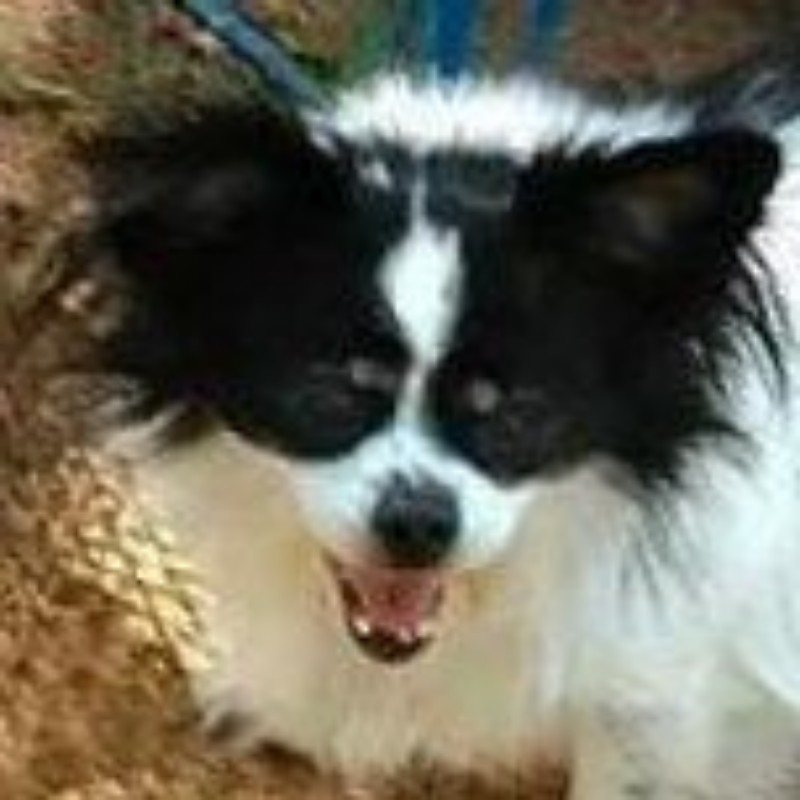 Leon Limon (@llimon276) | Snapchat Stories, Spotlight & Lenses