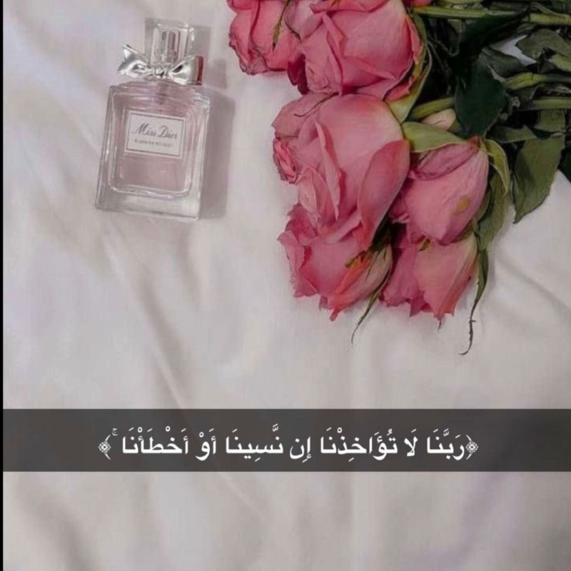 Munira♥️ (@llooooll7654) | Snapchat Stories, Spotlight & Lenses