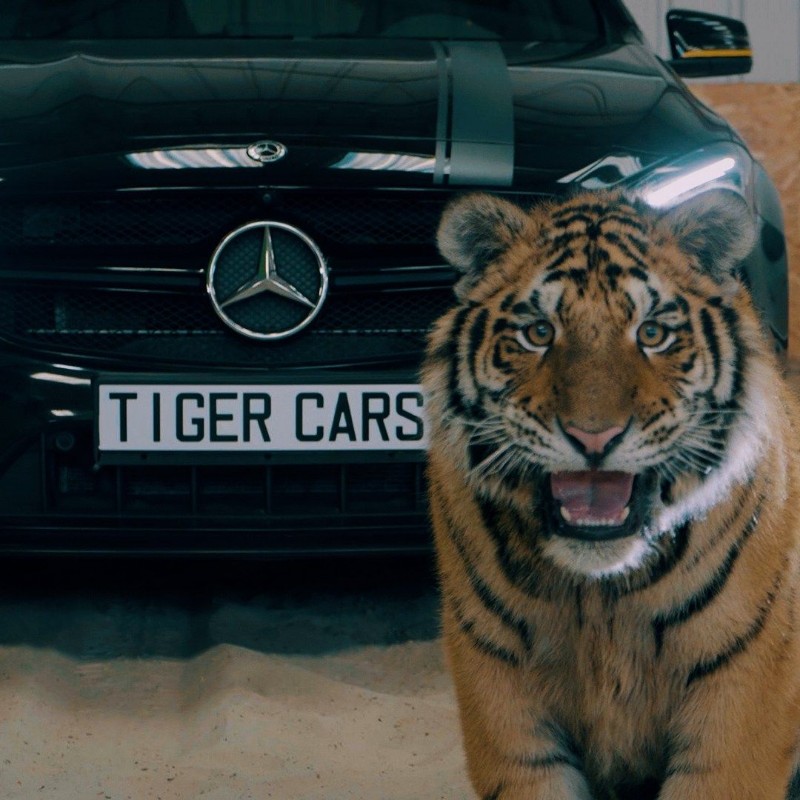 Tiger Cars 🐅🏎🔥 (@location_lyon) | Snapchat Stories, Spotlight & Lenses