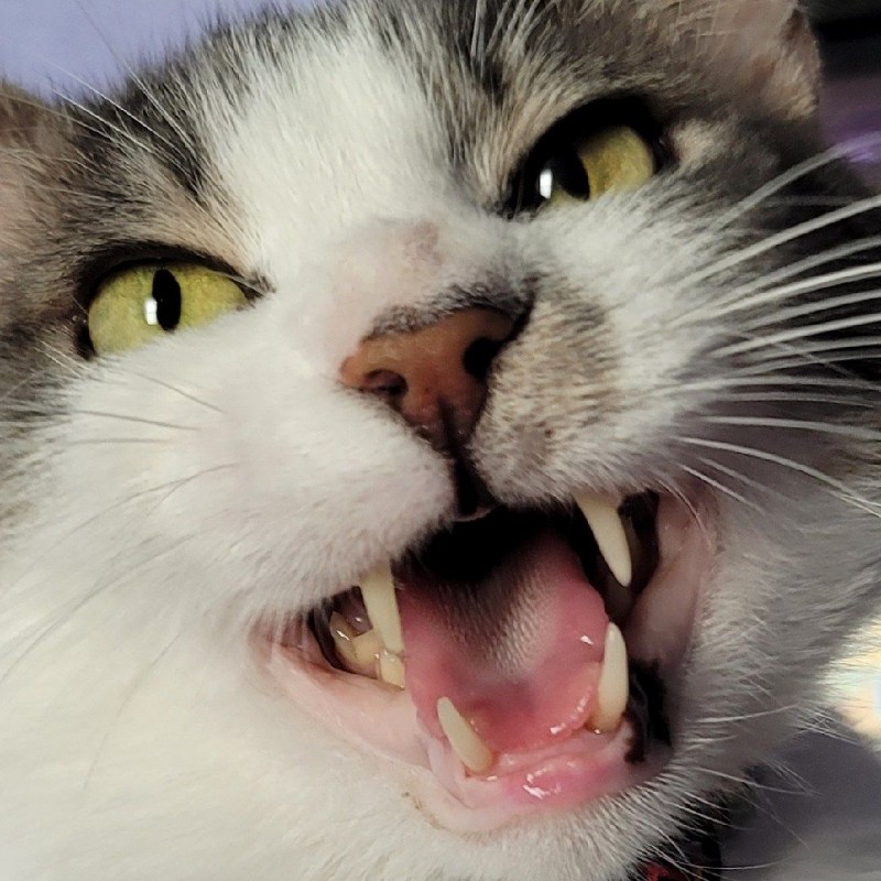 bex (@lowtier_bex) | Snapchat Stories, Spotlight & Lenses