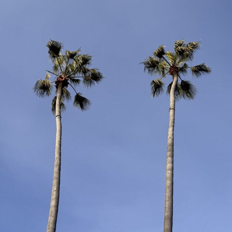 Lupe A (@lua3p) | Snapchat Stories, Spotlight & Lenses