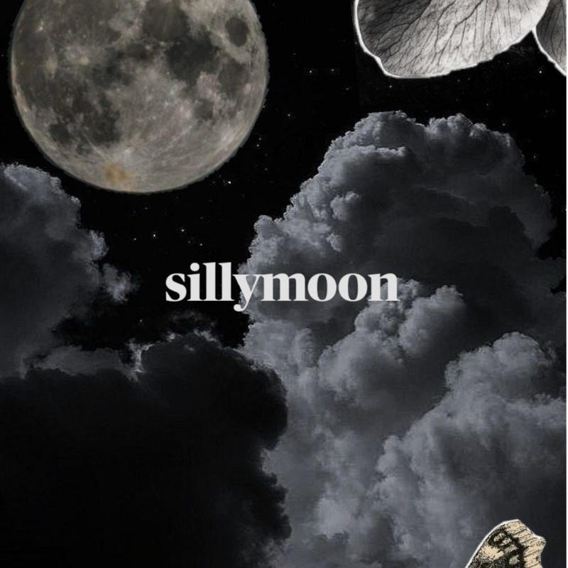 S-\'.🍓Silly Moon🍓./'-N (@lxvelovecoverni) | Snapchat Stories, Spotlight ...