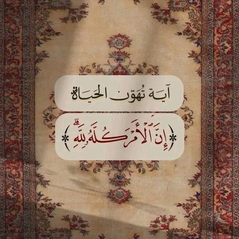 Lena Ahmed🇸🇩 (@lyn_h4066) | Snapchat Stories, Spotlight & Lenses